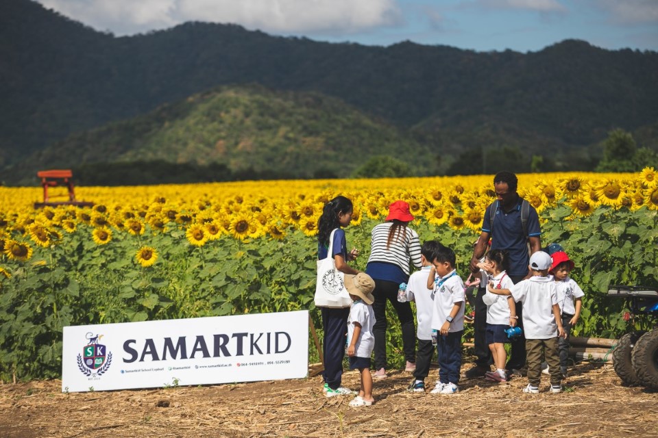 Fun@Sunflower field – SAMARTKID School Lopburi